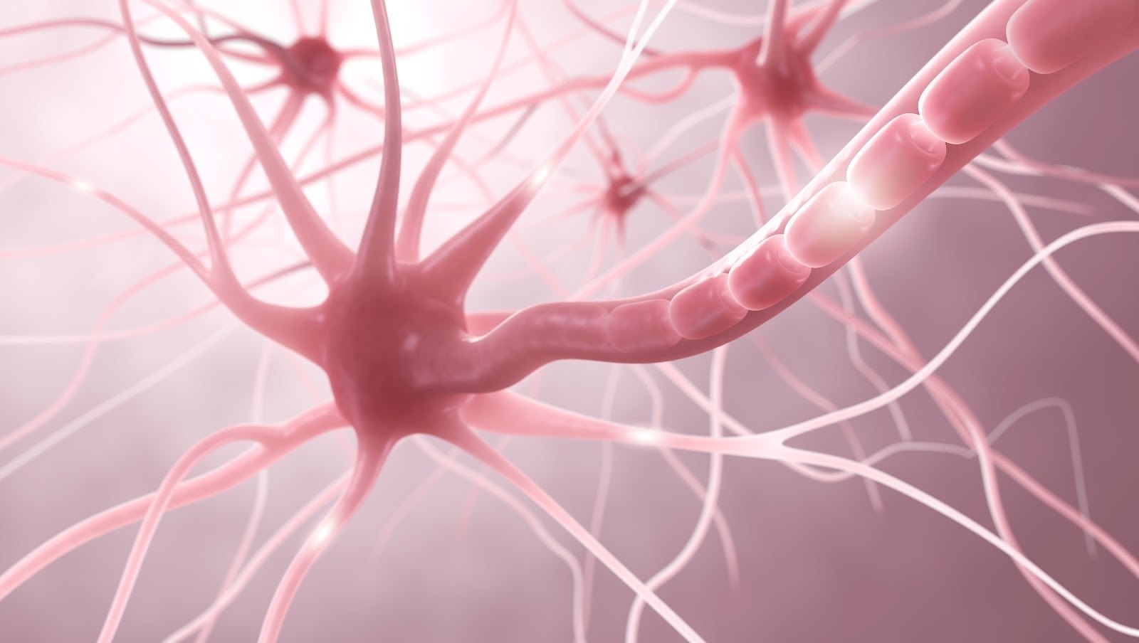 Multiple Sklerose - Gesundheitsreport.com