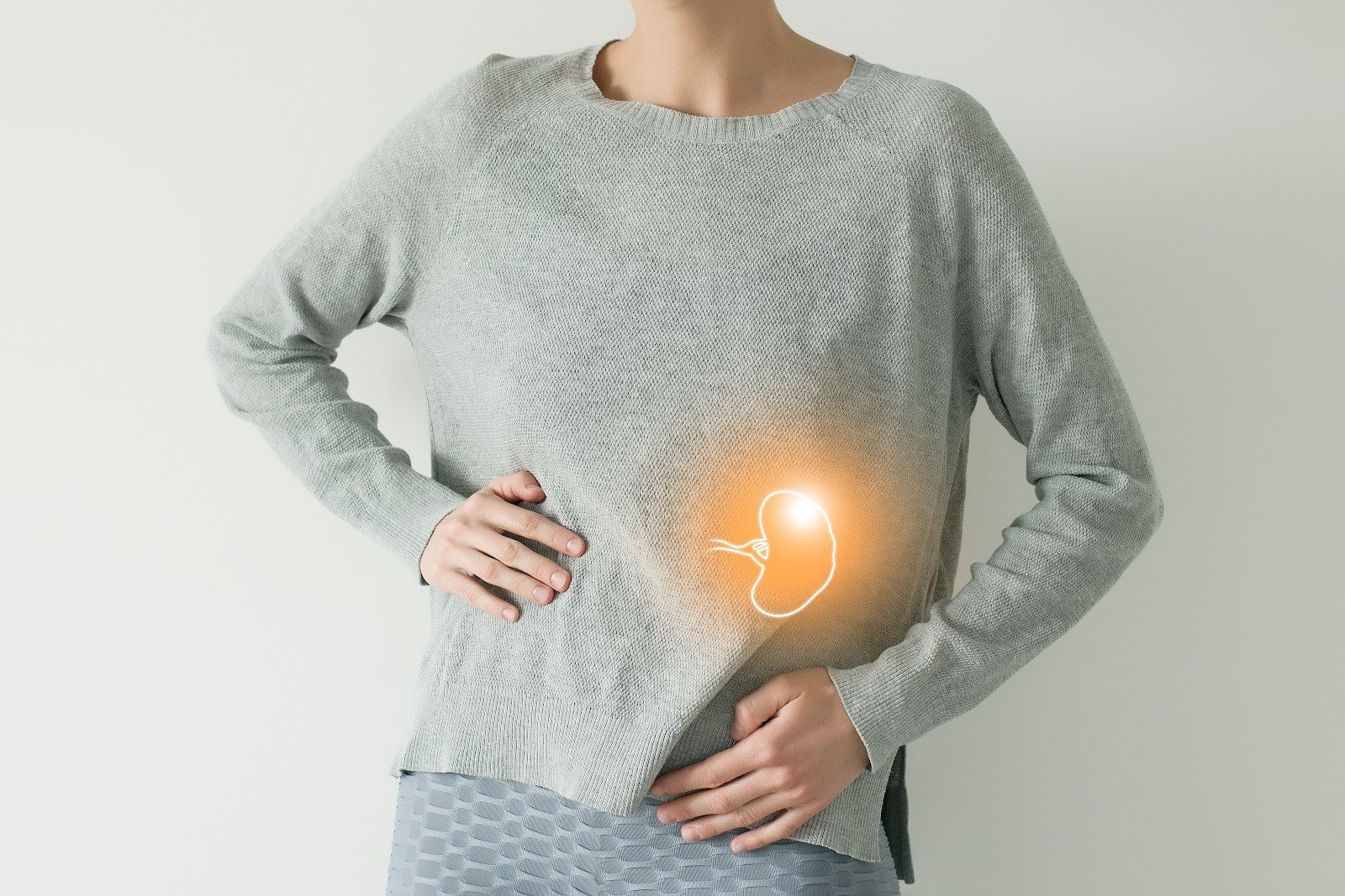 Milz - Anatomie und Funktion - Gesundheitsreport.com