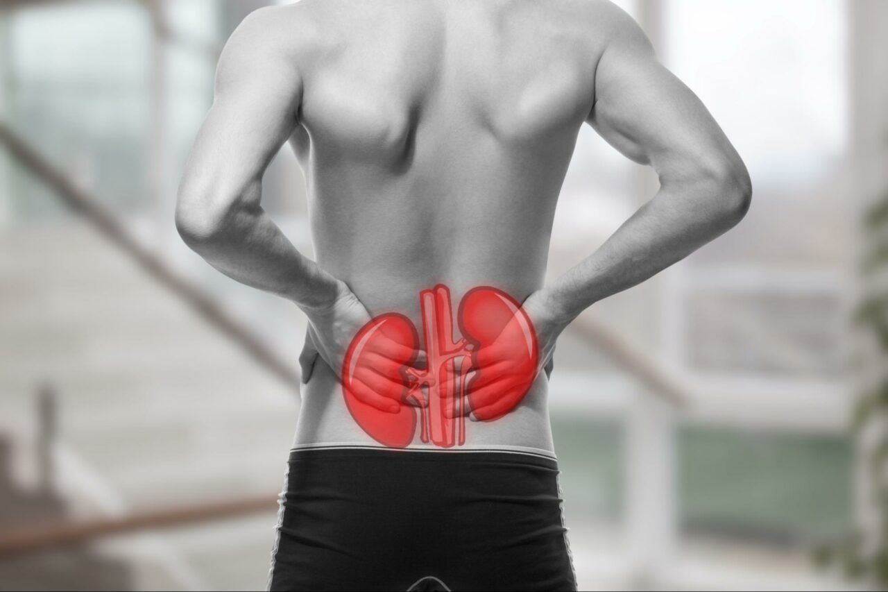 Blasensteine – Ursachen und Behandlung - Gesundheitsreport.com