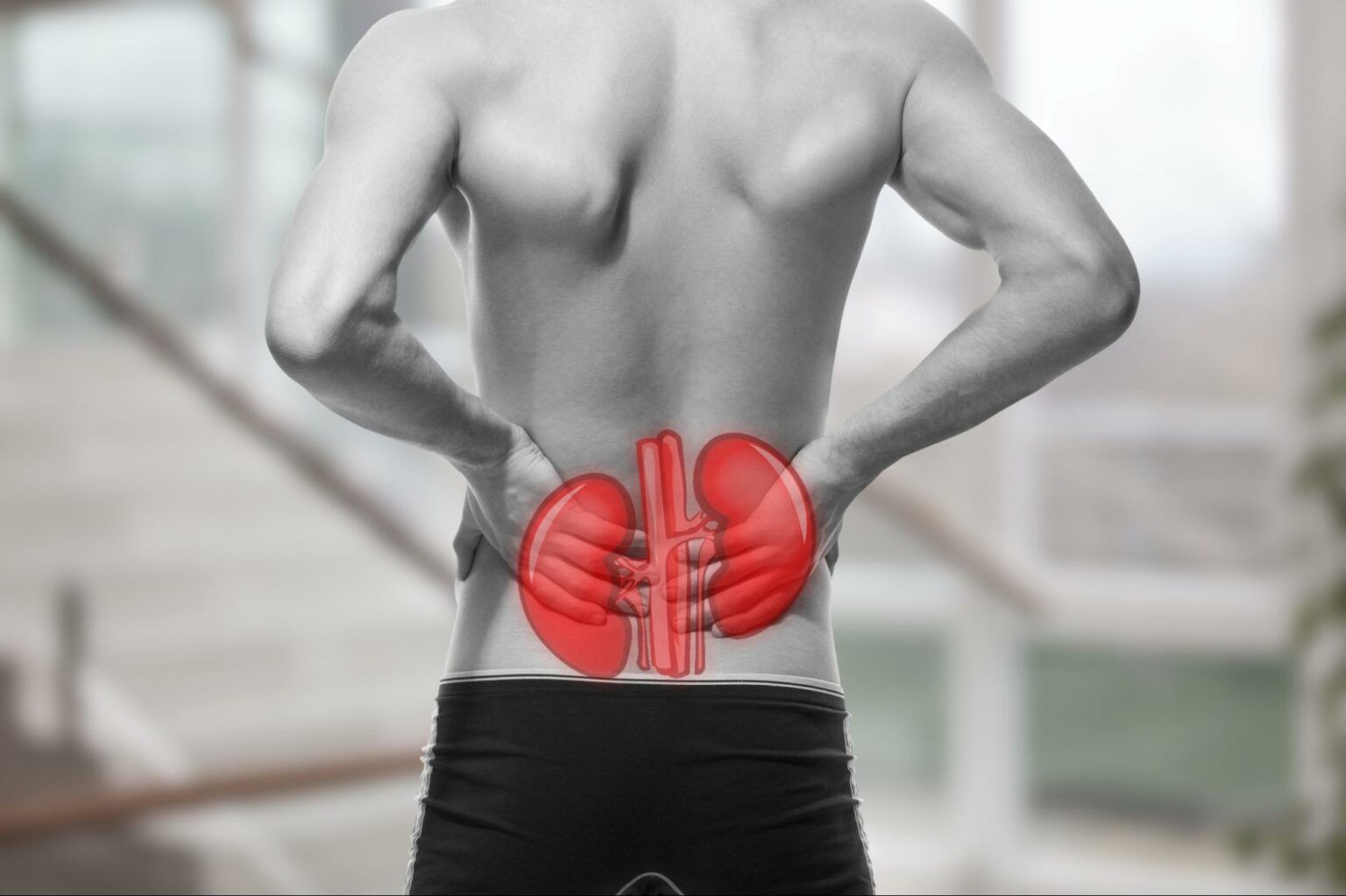 Alkoholverzicht: So erholen sich Organe - Gesundheitsreport.com